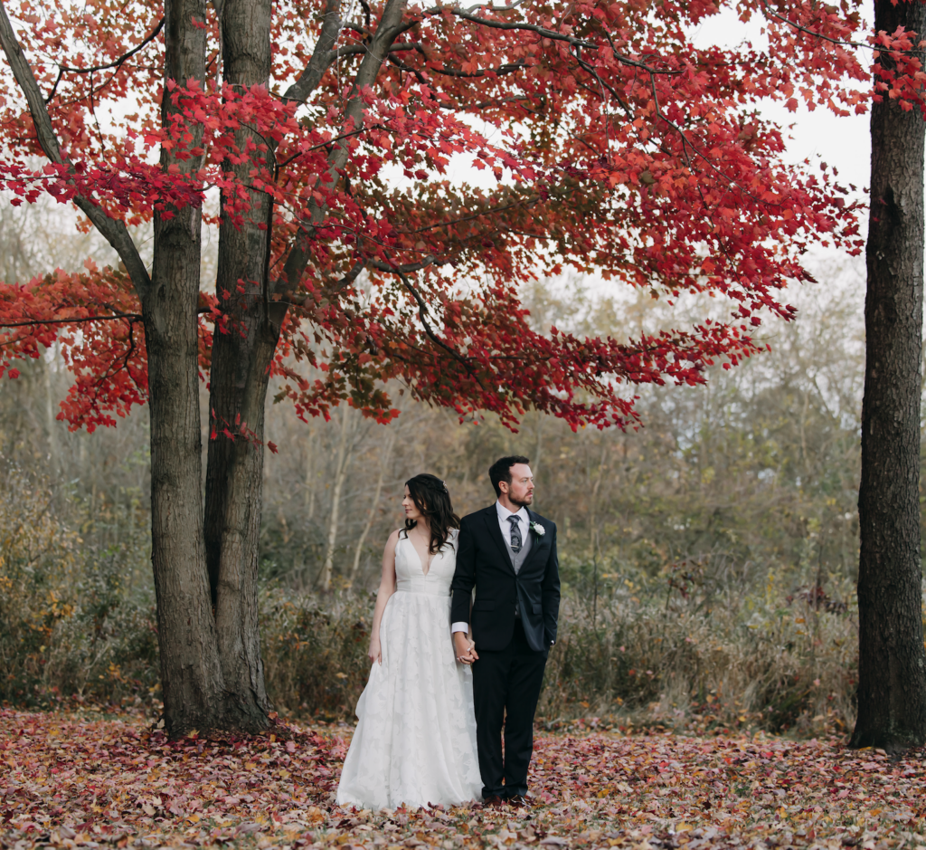 Top Michigan Wedding Venues by Budget & Region